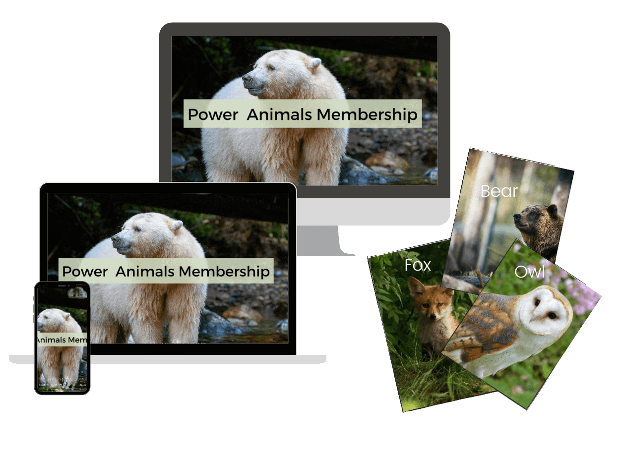Power Animal - Ravynwood Power Animal Membership