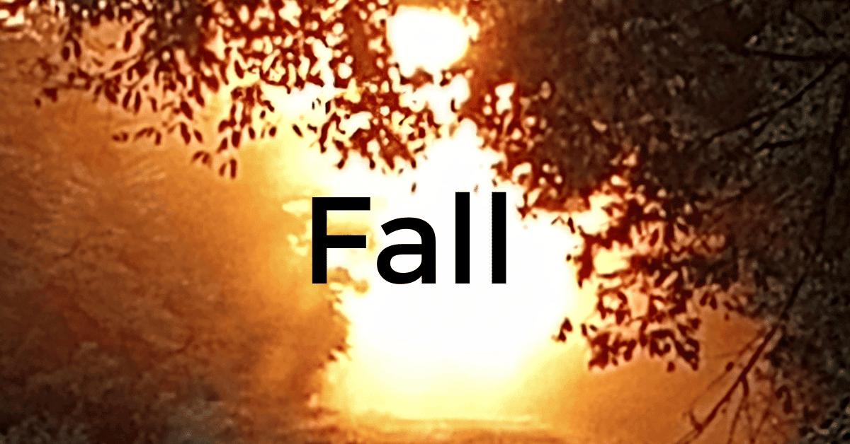 Embracing The Beauty Of Fall: A Season Of Letting Go & Growth - Ravynwood