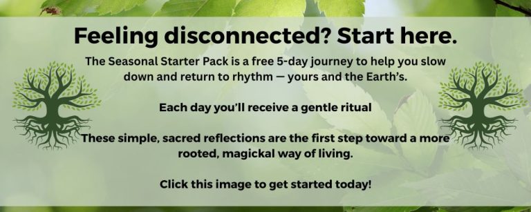 The Esbats & Sabbats Of 2025 - Ravynwood