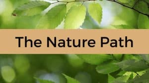 The Nature Path - Reconnect To Nature And Yourself.